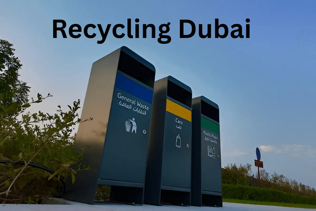 Recycling Dubai Guide: Waste Management & Sustainability- ABLE RECYCLING