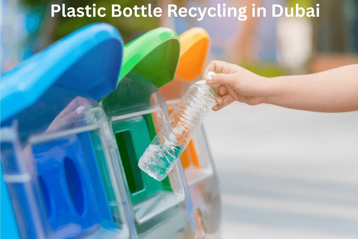 Plastic Bottle Recycling in Dubai – Benefits and Process Guide- ABLE ...